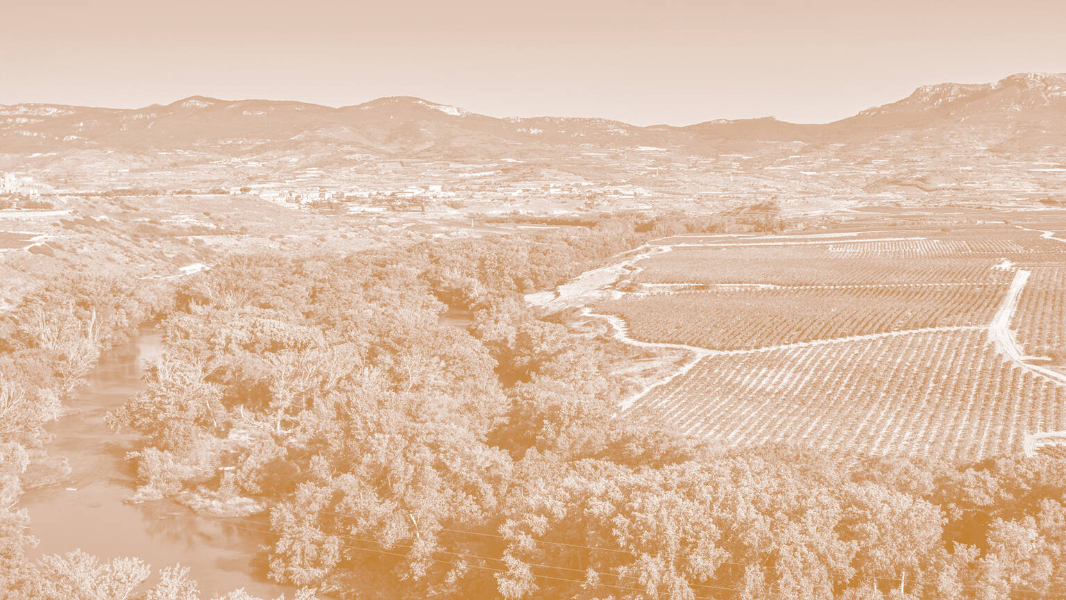 Monográficos - Elliot Cloud